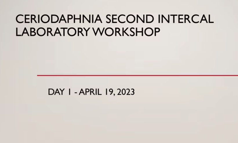 Ceriodaphnia Toxicity Testing Quality Assurance - 2021 Data Portal